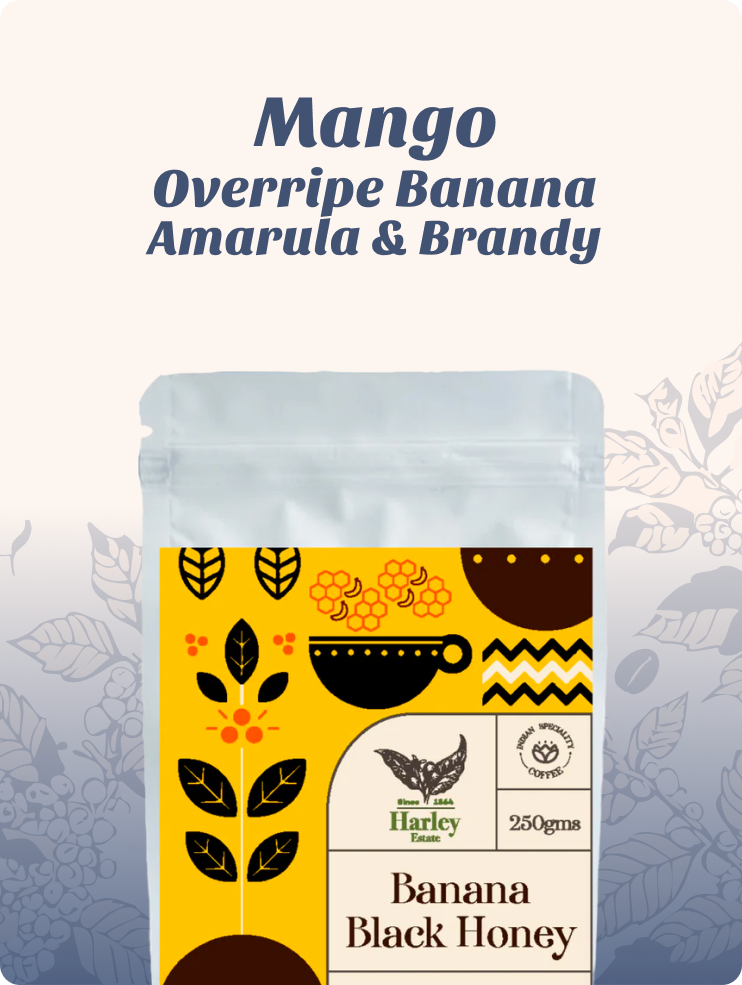 Mango Overripe Banana Amarula & Brandy – Classic Coffee